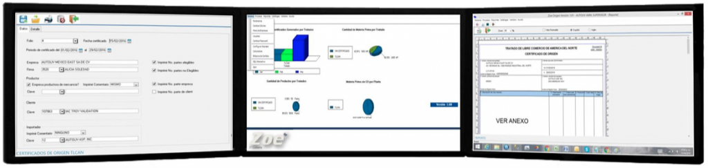 ORIGIN MODULE – Zoé IT Customs